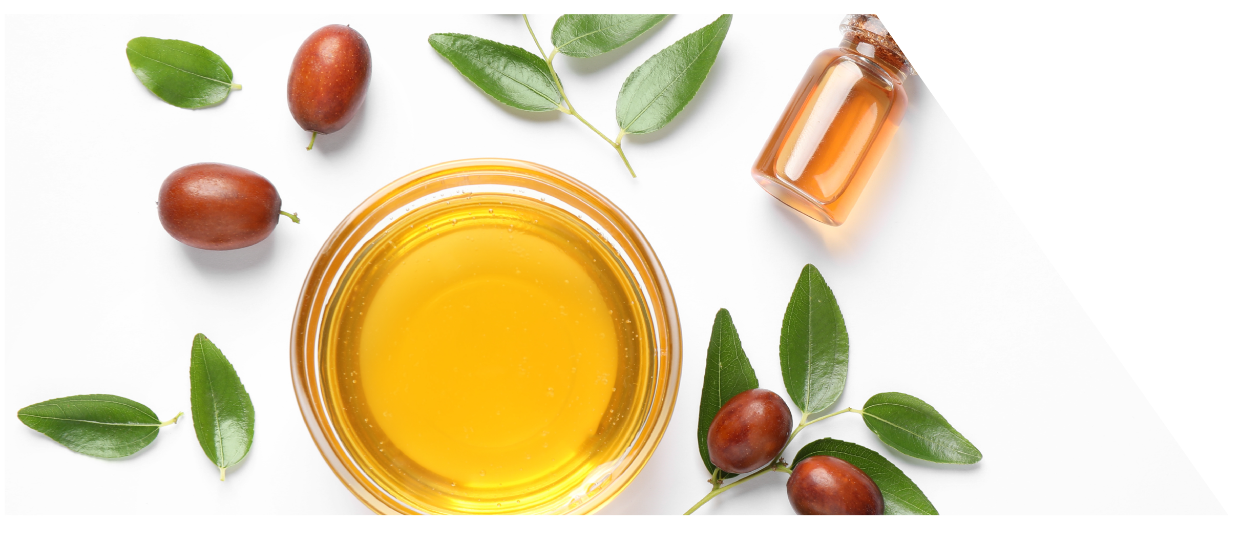 Le Pré Vert BIO - Huiles végétales biologiques